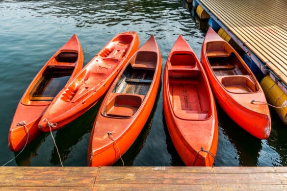 Kayak Paddle Size Chart: Choose the Right Length and Style