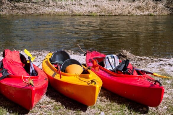 Kayak Paddle Size Chart: Choose the Right Length and Style